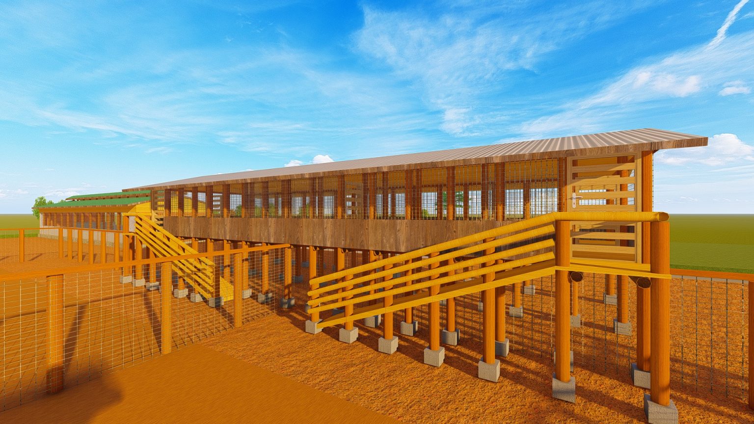 200 Goats/sheep design plan- zero grazing Premium – Kimd Group of ...