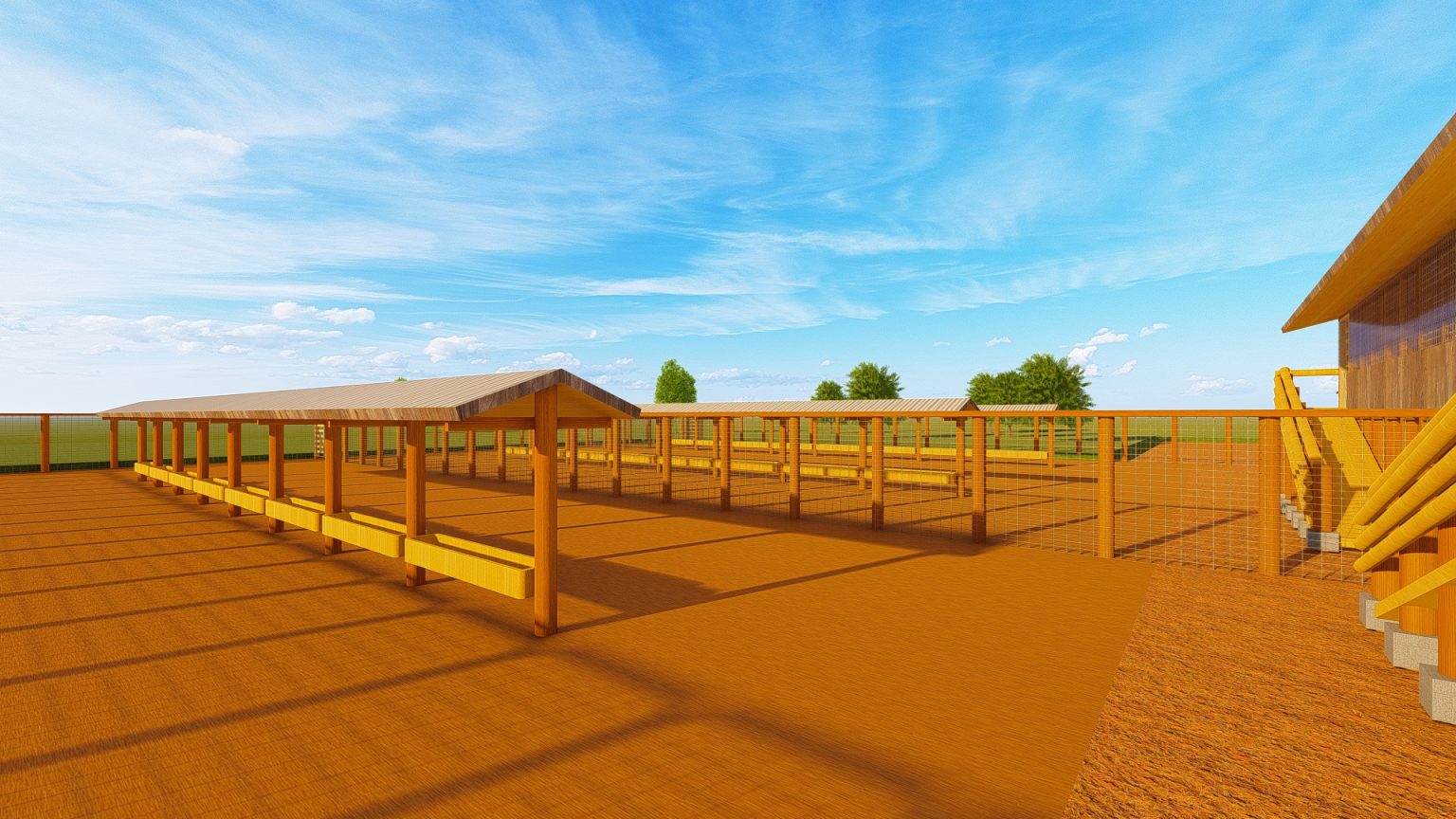 200 Goats/sheep design plan- zero grazing Premium – Kimd Group of ...