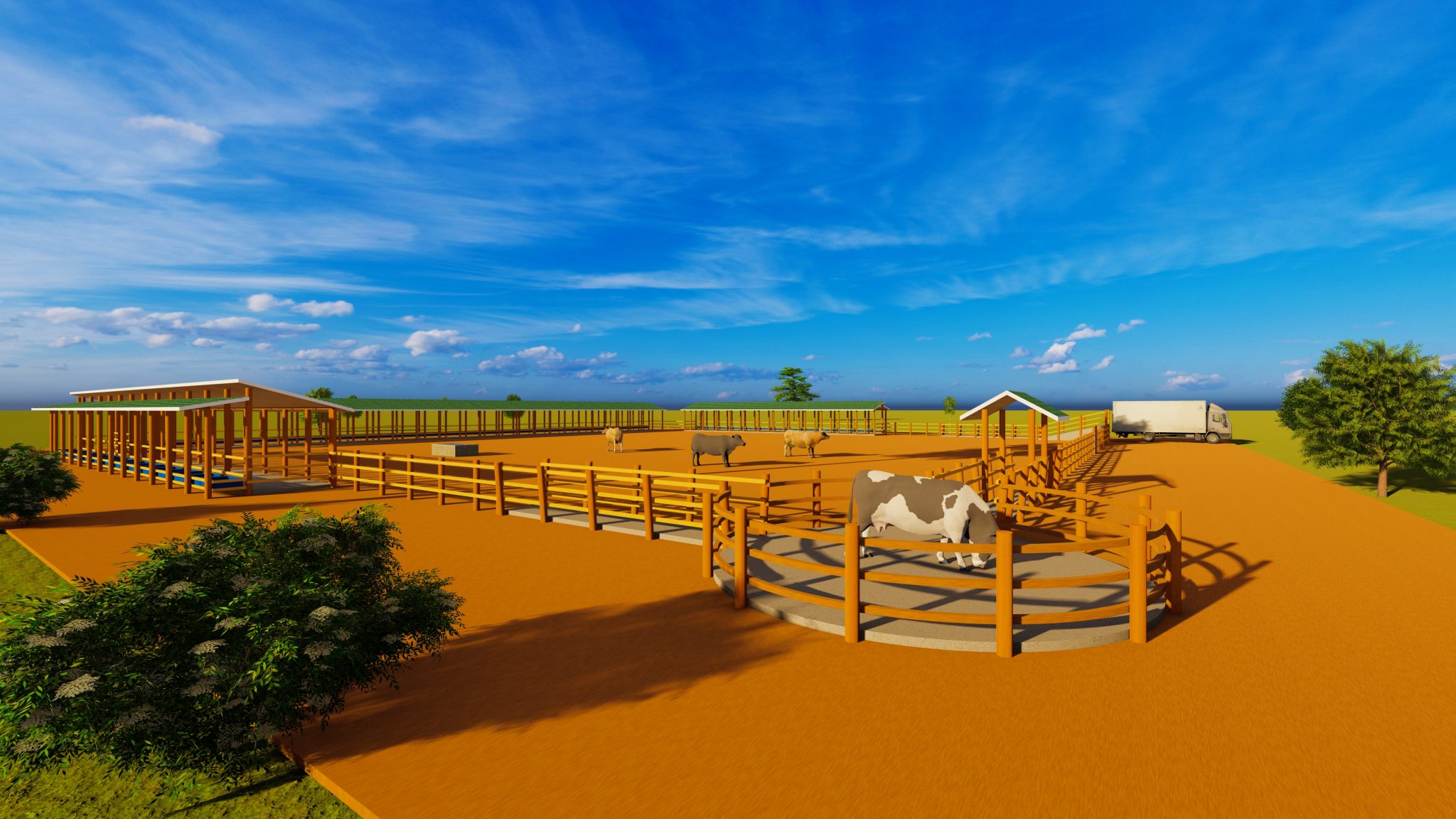 100 Bulls Feedlot Design Plan Premium – Kimd Group of Companies Shop