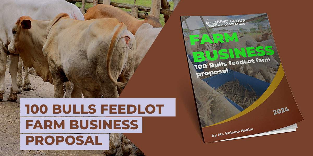 Kimd Group of Companies Shop