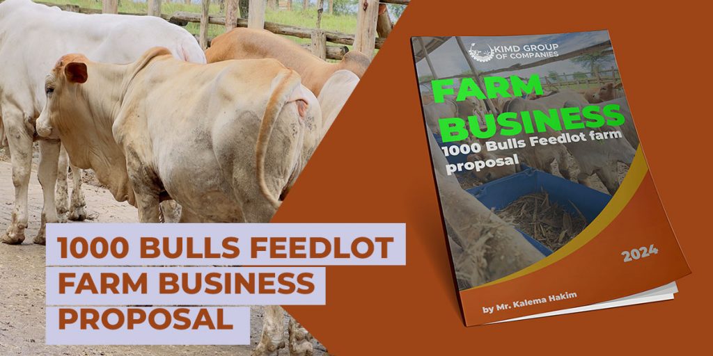 Kimd Group of Companies Shop