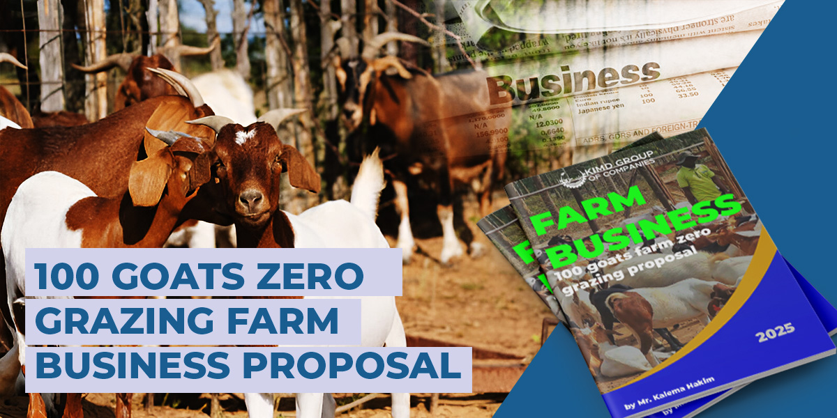 100 Goats Zero Grazing Business Proposal - Kimd Group Of Companies Shop