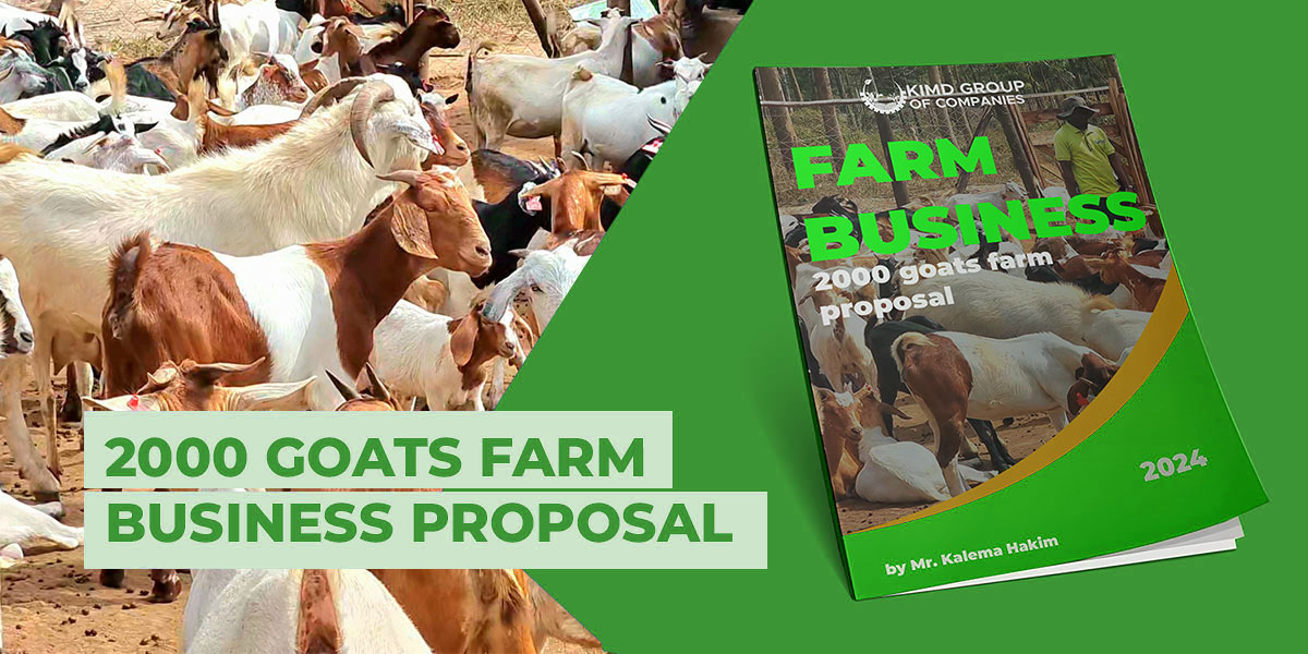 Kimd Group of Companies Shop