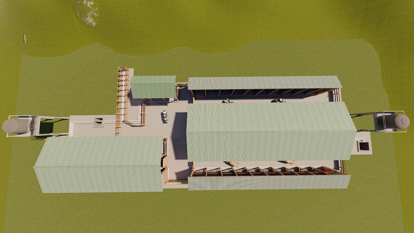 40 Dairy Cows Structure – Kimd Group of Companies Shop