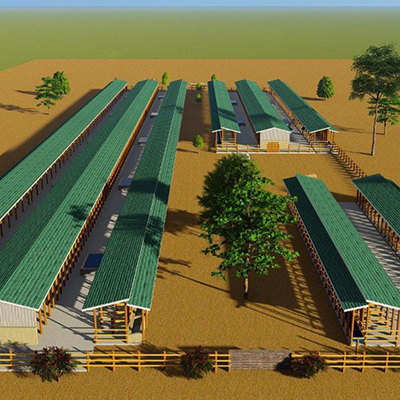 Kimd Group of Companies Shop